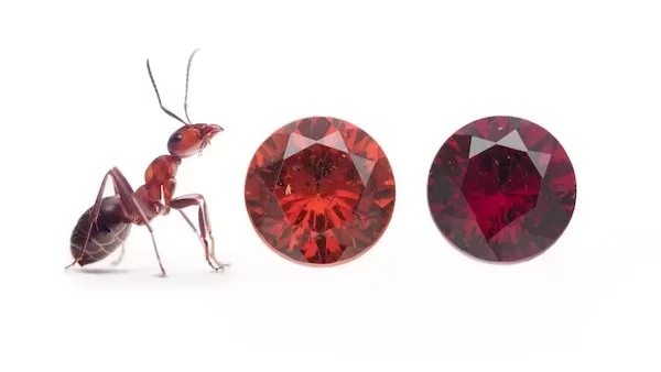 Coloured Gemstones - SSEF